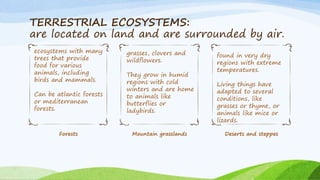 Ecosystems | PPTX
