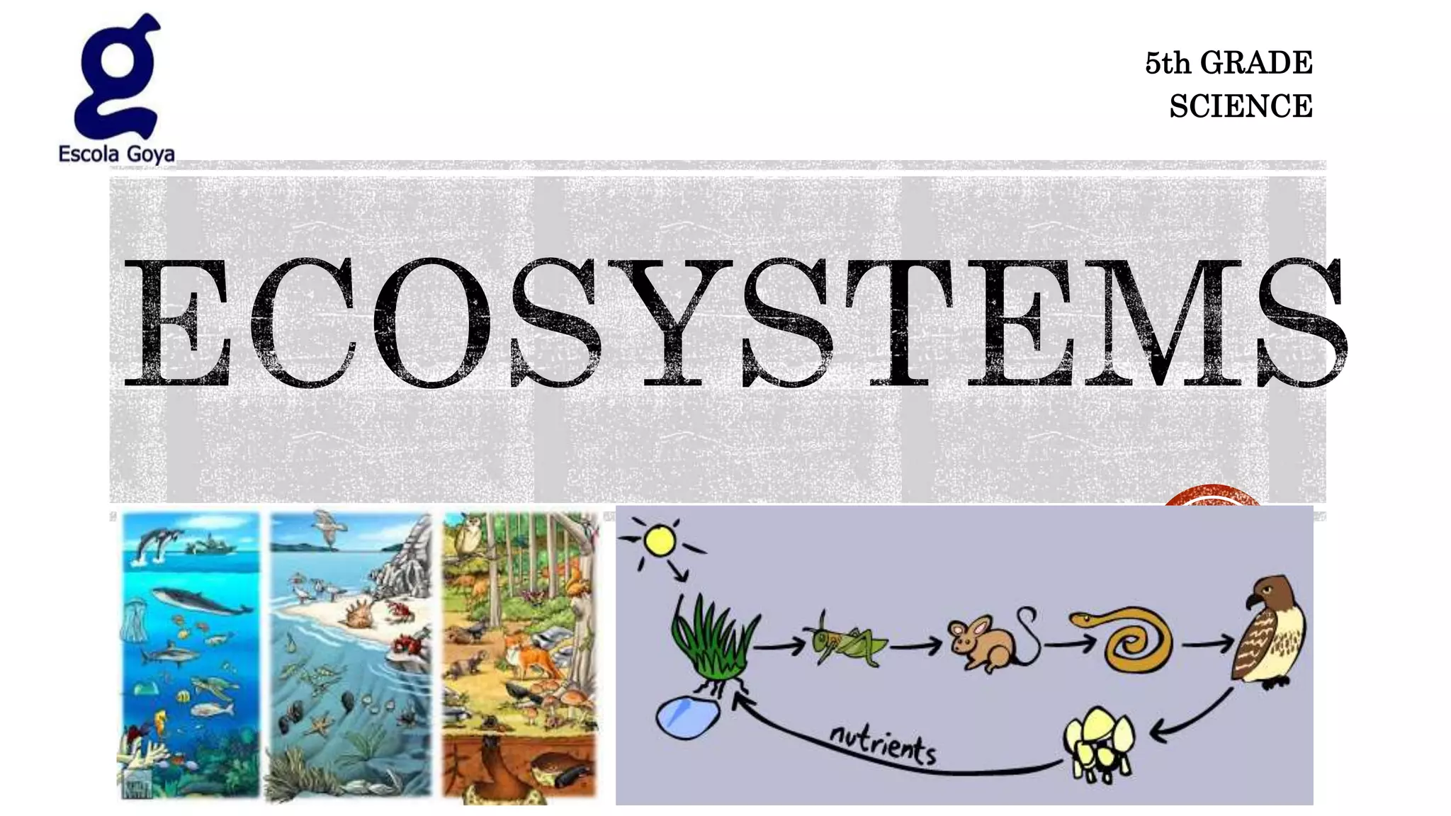 UNIT 5: ECOSYSTEMS | PPTX
