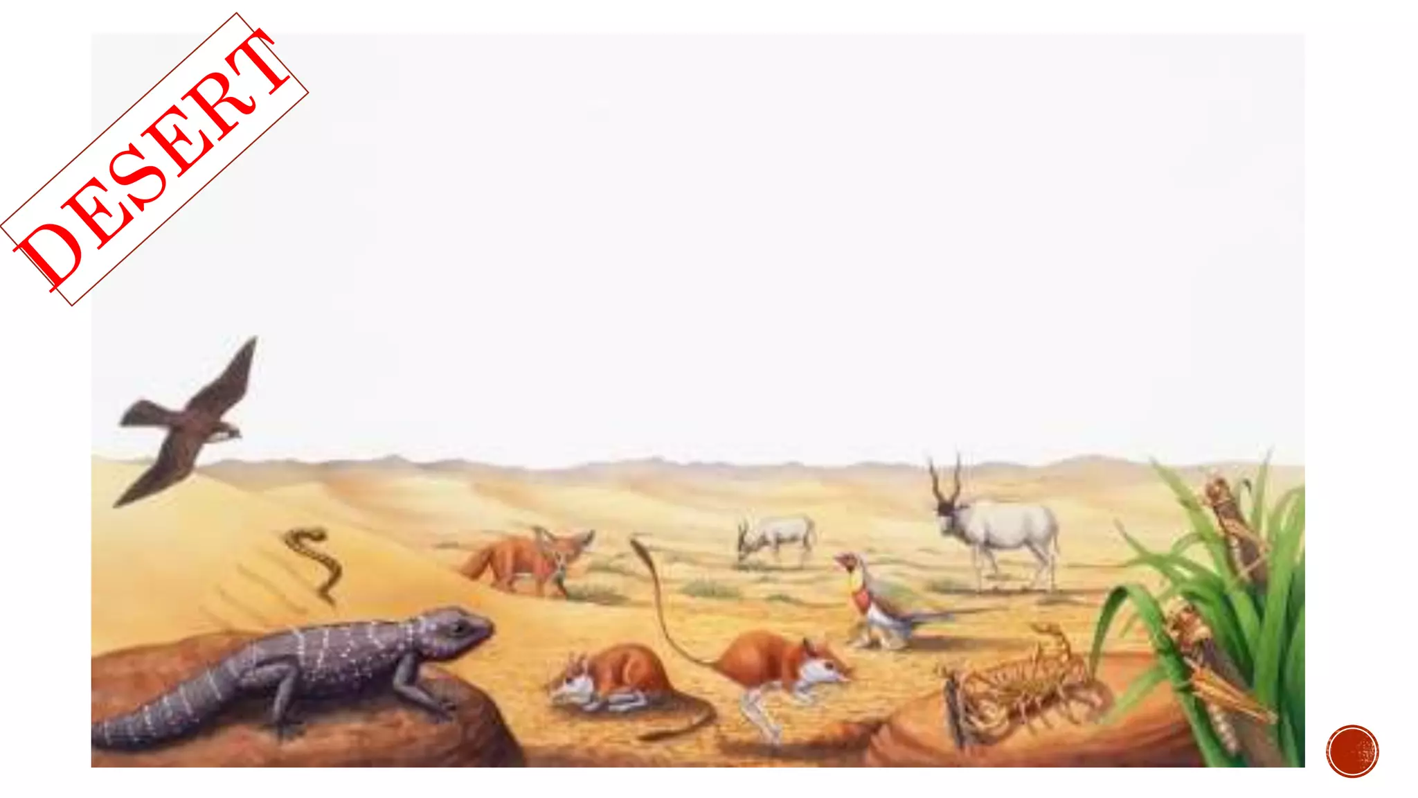 UNIT 5: ECOSYSTEMS | PPTX