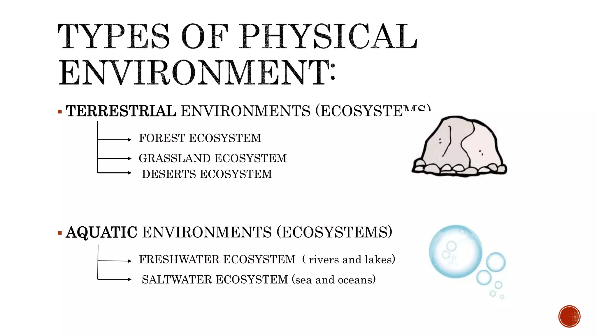 UNIT 5: ECOSYSTEMS | PPTX