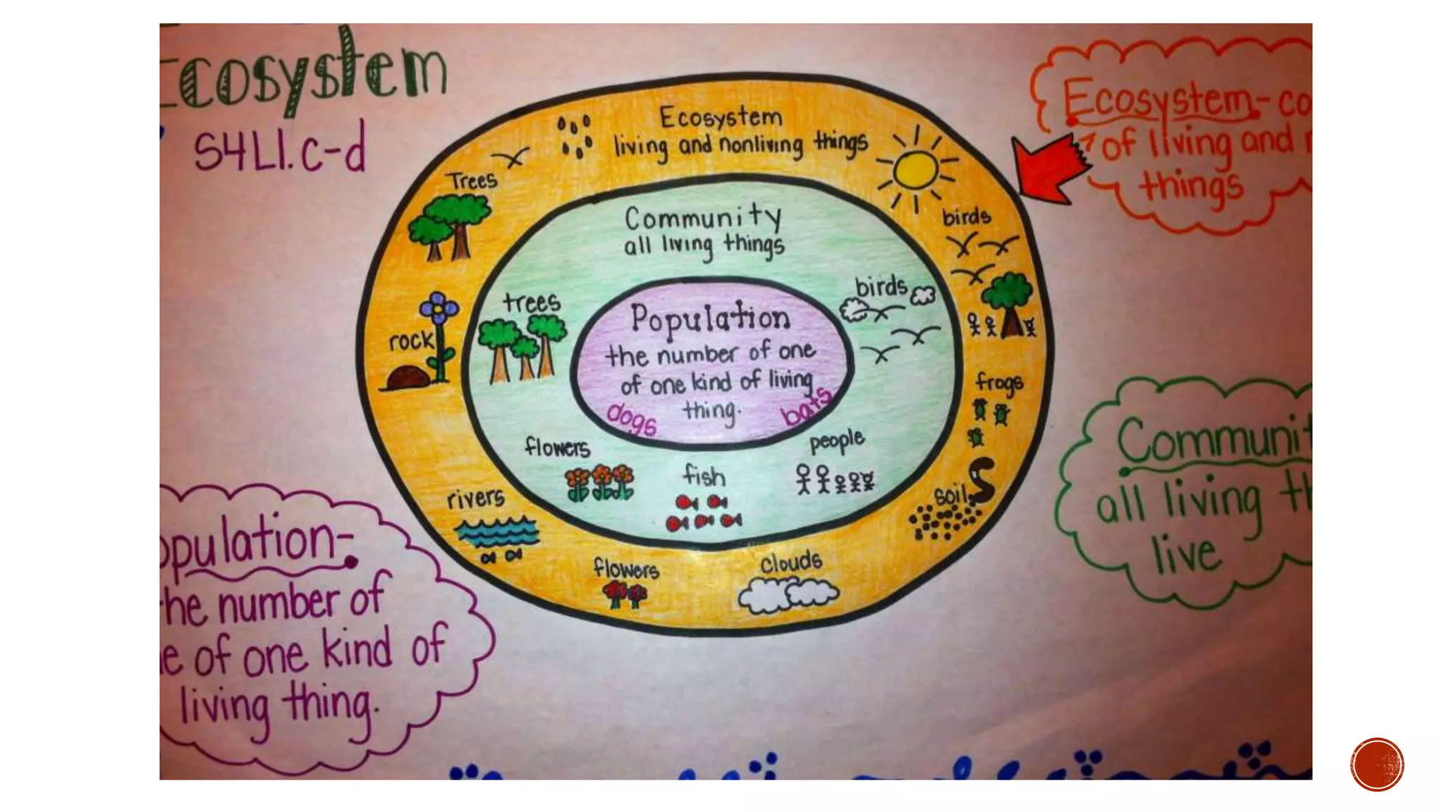 UNIT 5: ECOSYSTEMS | PPTX