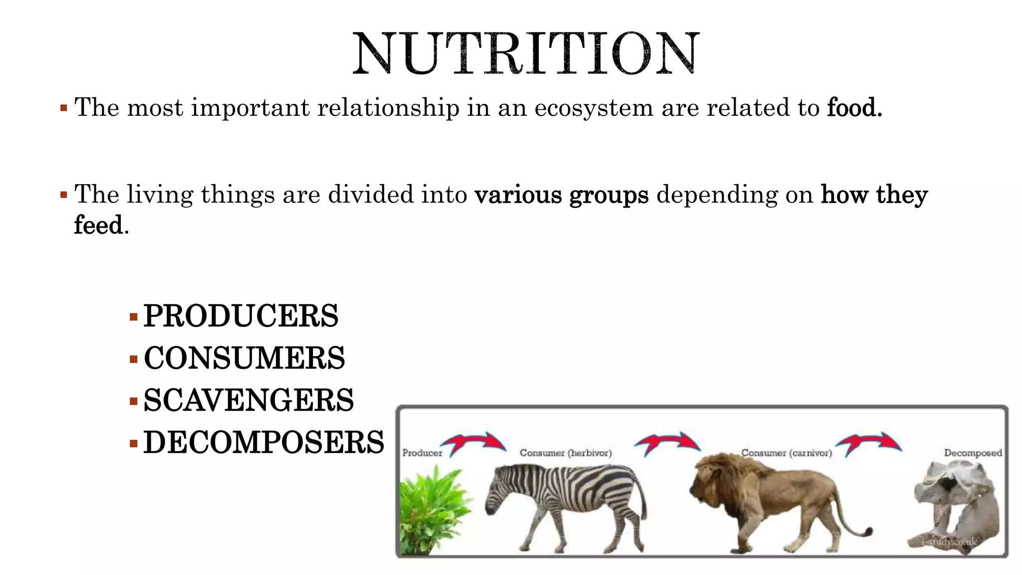 UNIT 5: ECOSYSTEMS | PPTX