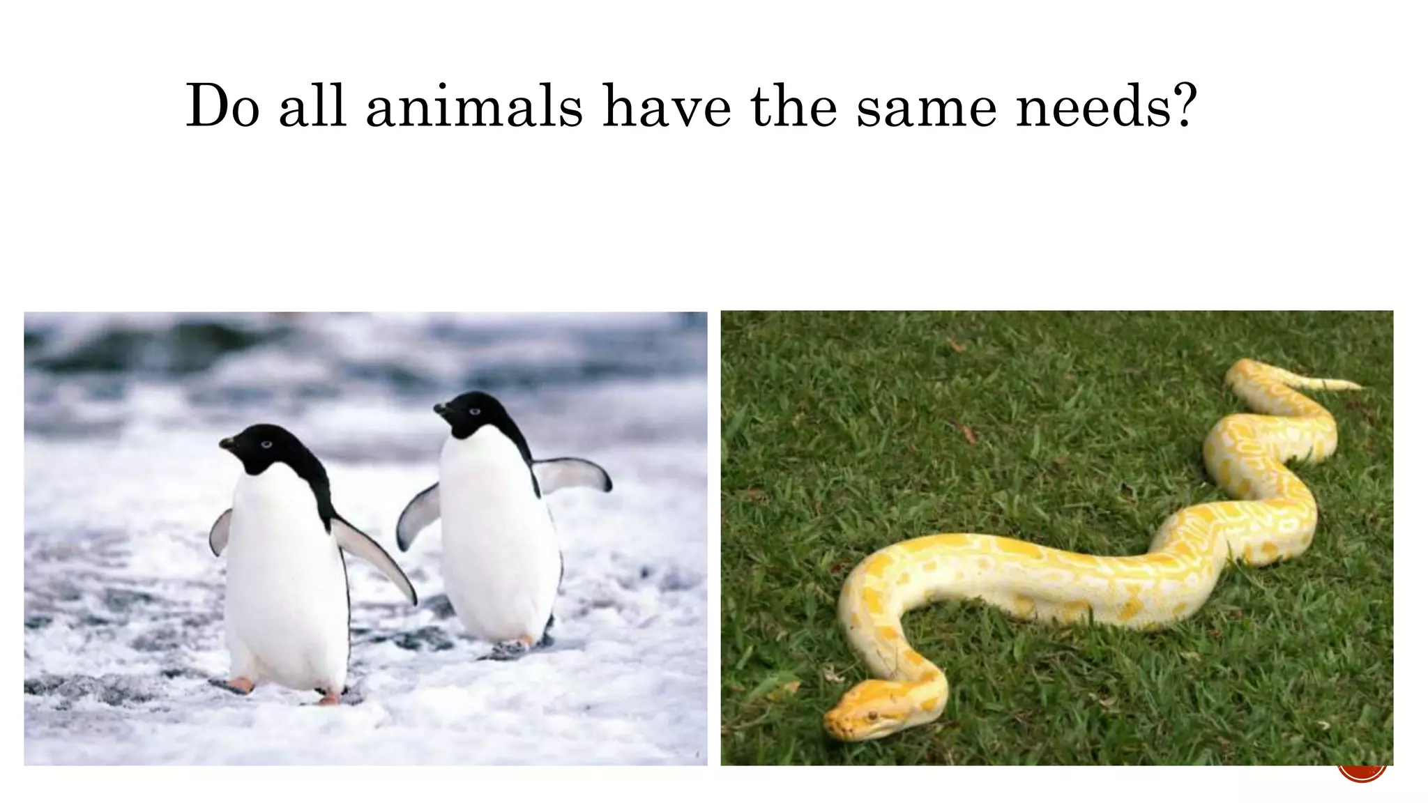 UNIT 5: ECOSYSTEMS | PPTX