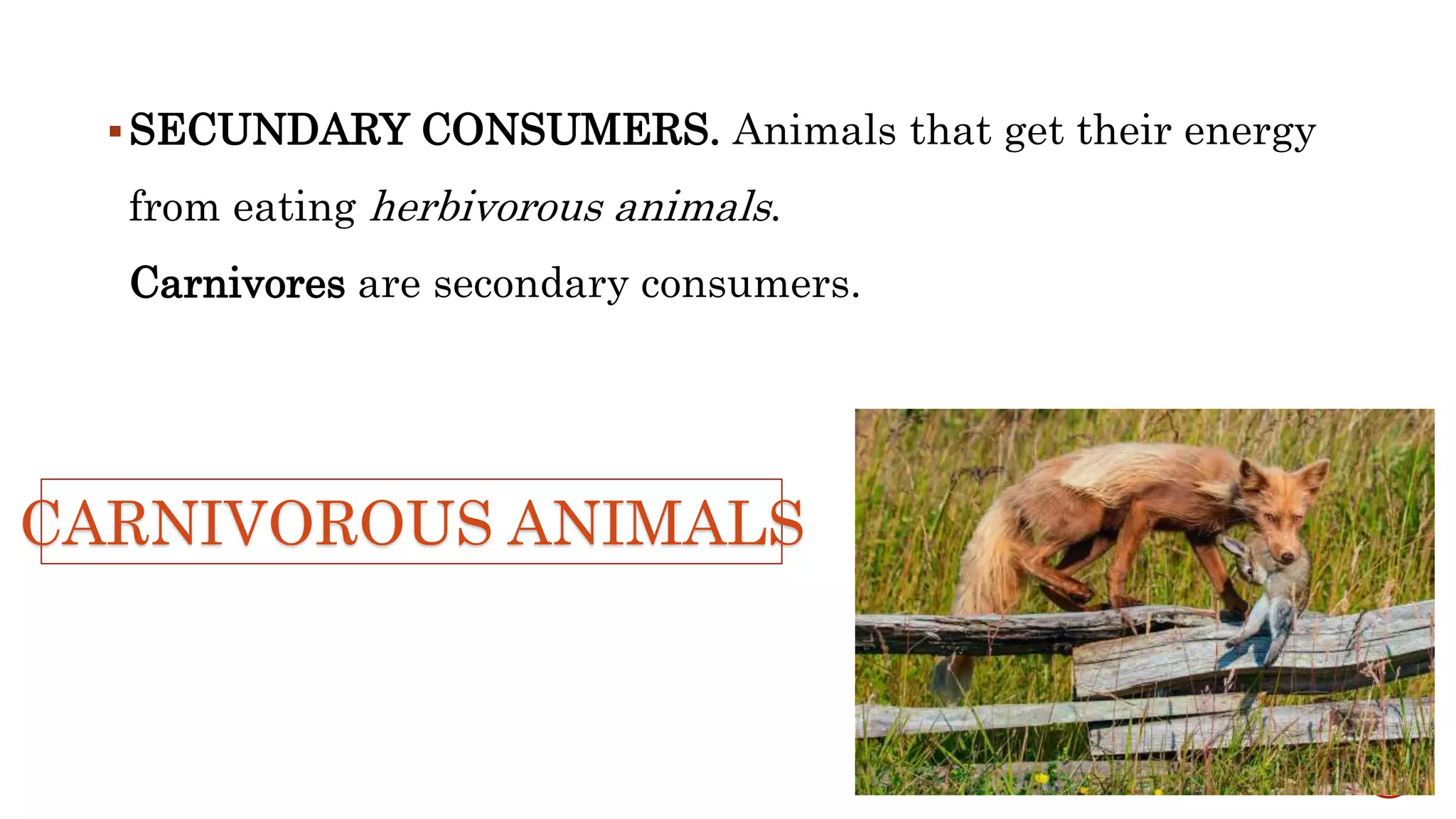 UNIT 5: ECOSYSTEMS | PPTX