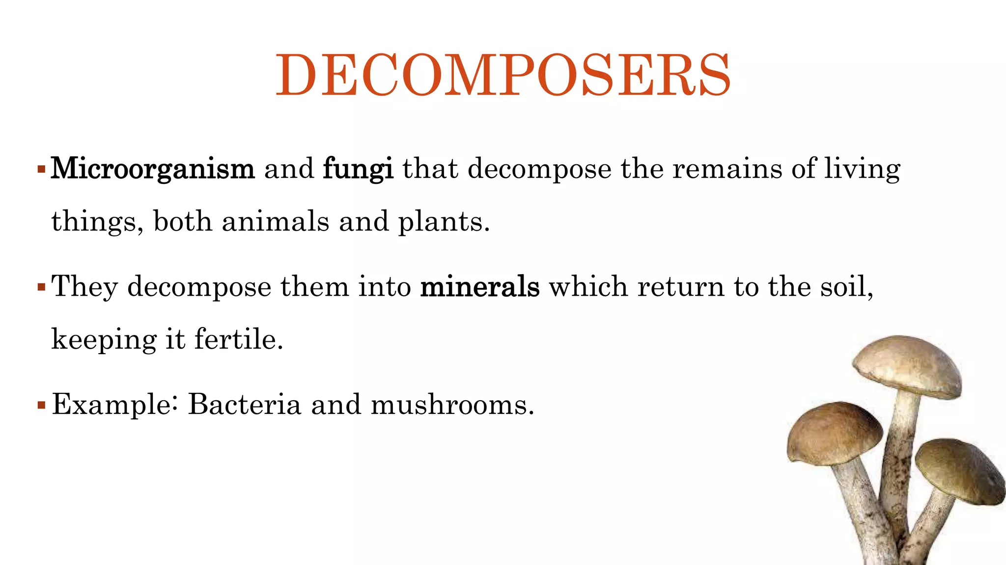 UNIT 5: ECOSYSTEMS | PPTX