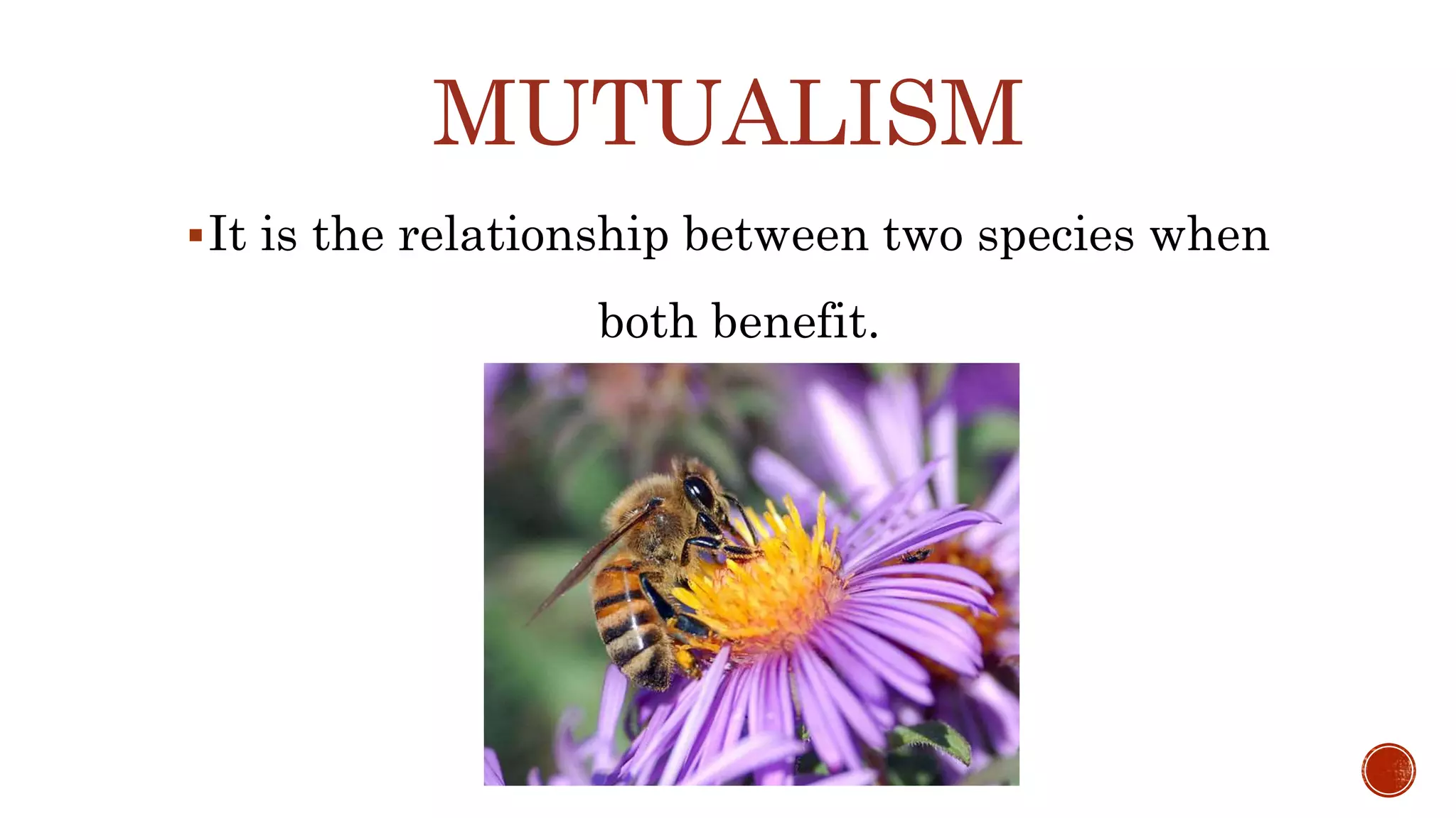 UNIT 5: ECOSYSTEMS | PPTX