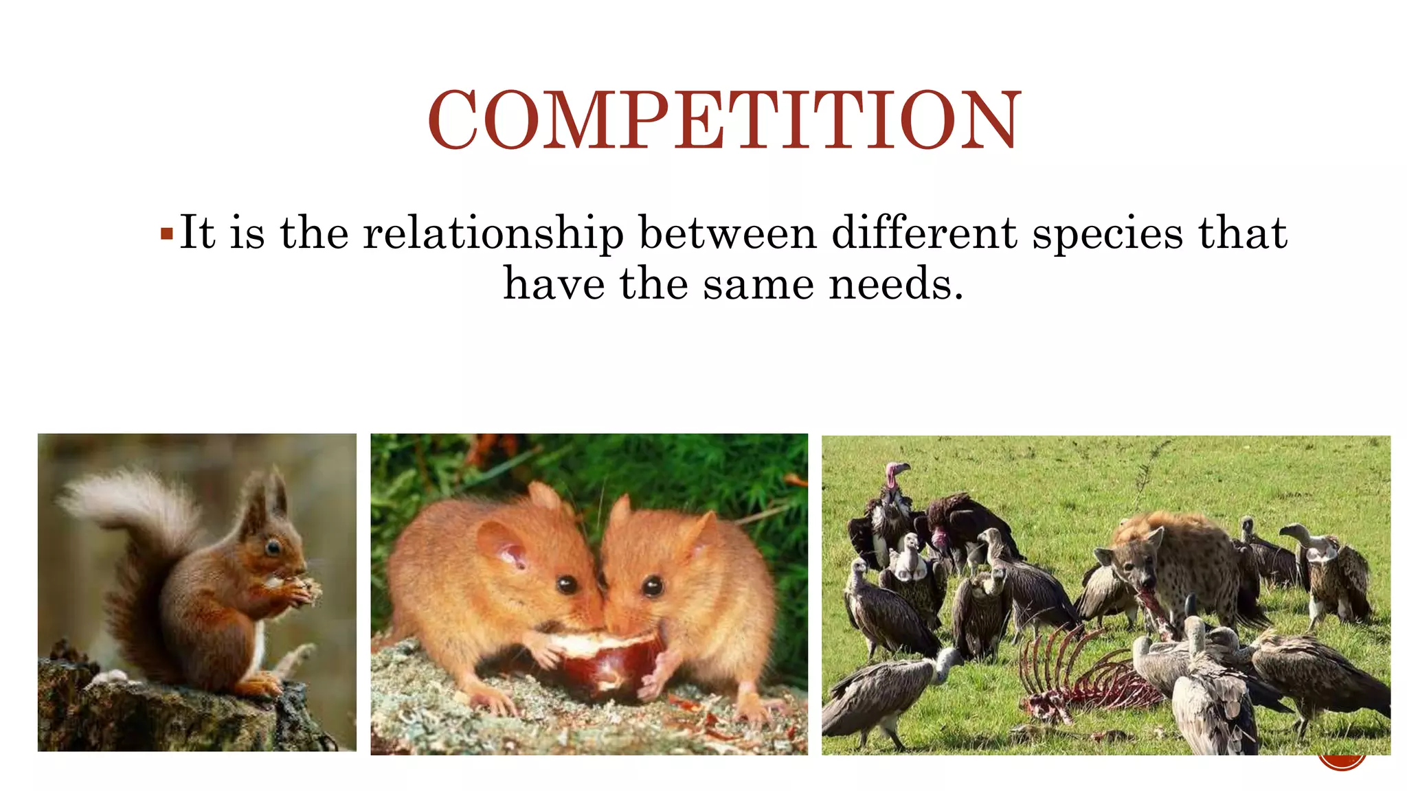 UNIT 5: ECOSYSTEMS | PPTX