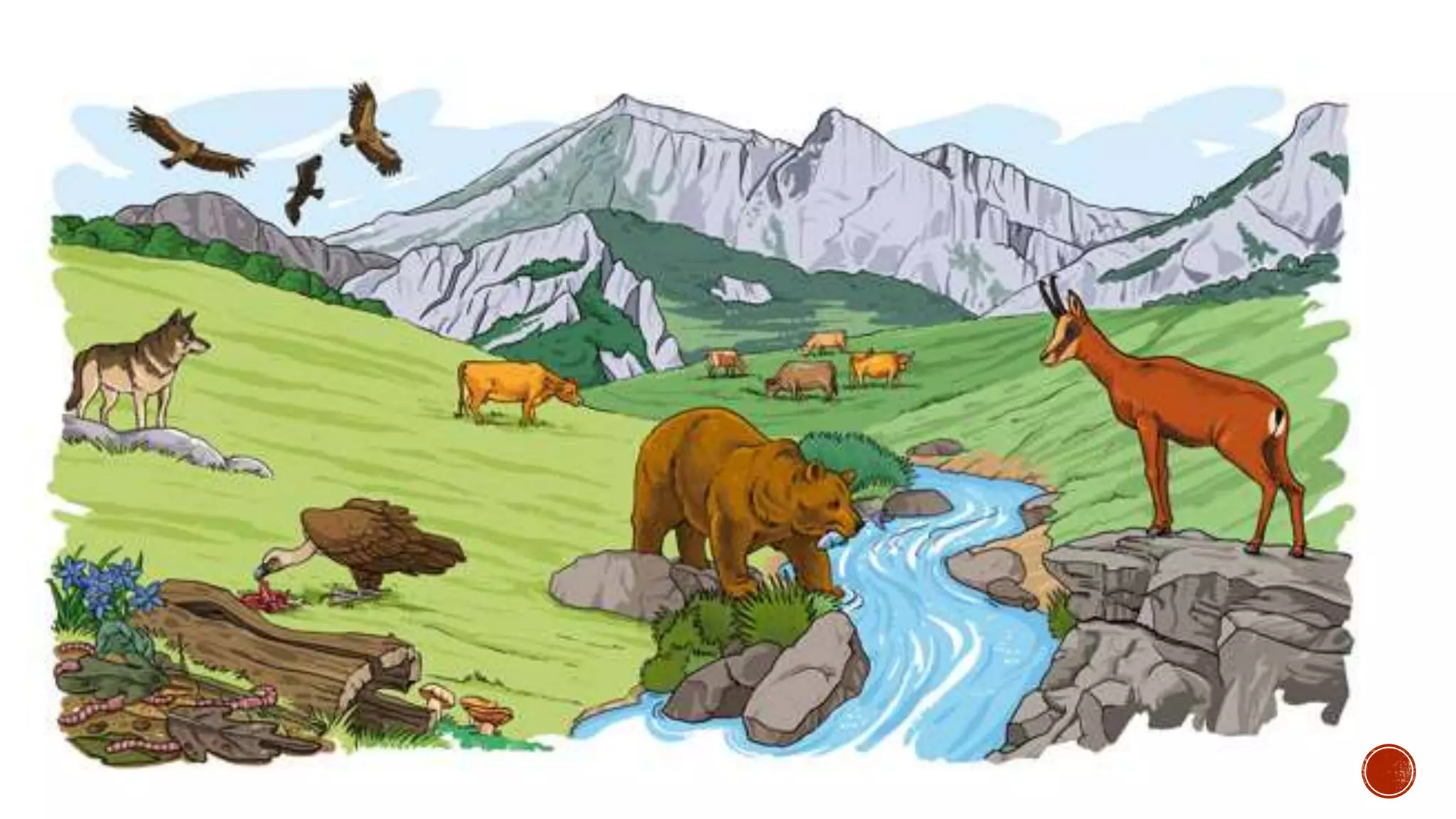 UNIT 5: ECOSYSTEMS | PPTX