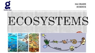 UNIT 5: ECOSYSTEMS | PPTX