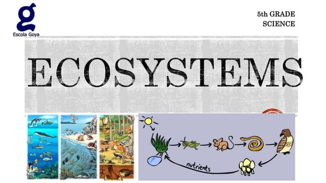 UNIT 5: ECOSYSTEMS | PPTX