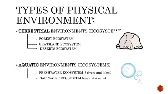 UNIT 5: ECOSYSTEMS | PPTX