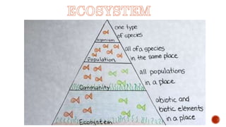 UNIT 5: ECOSYSTEMS | PPTX