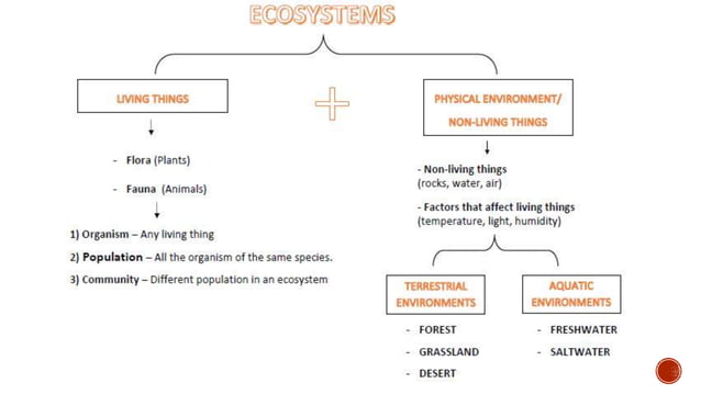 UNIT 5: ECOSYSTEMS | PPTX