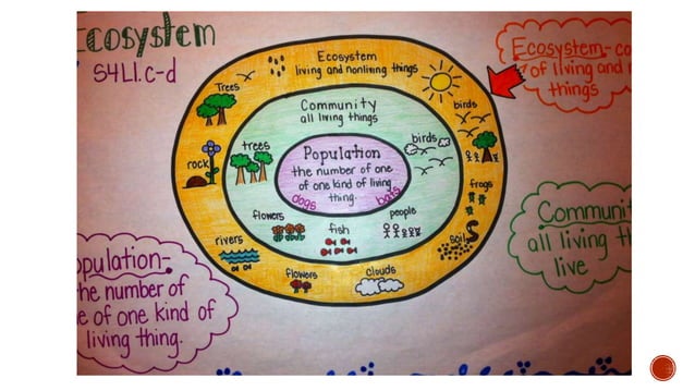UNIT 5: ECOSYSTEMS | PPTX