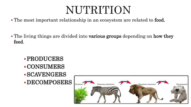 UNIT 5: ECOSYSTEMS | PPTX