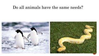 UNIT 5: ECOSYSTEMS | PPTX