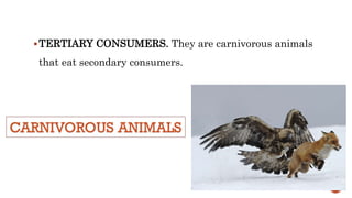 UNIT 5: ECOSYSTEMS | PPTX