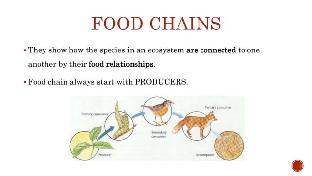 UNIT 5: ECOSYSTEMS | PPTX