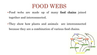 UNIT 5: ECOSYSTEMS | PPTX
