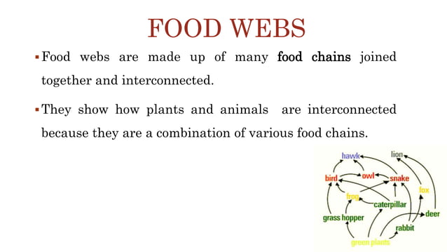 UNIT 5: ECOSYSTEMS | PPTX