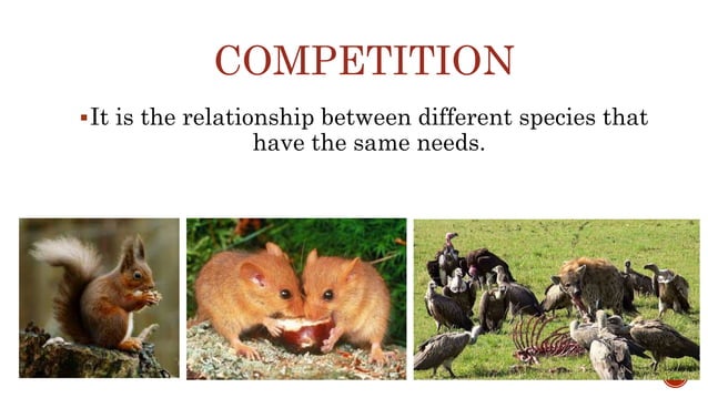 UNIT 5: ECOSYSTEMS | PPTX