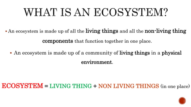 UNIT 5: ECOSYSTEMS | PPTX