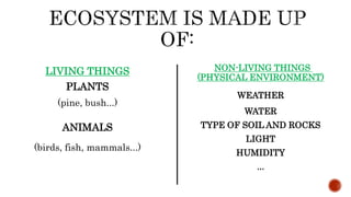 UNIT 5: ECOSYSTEMS | PPTX
