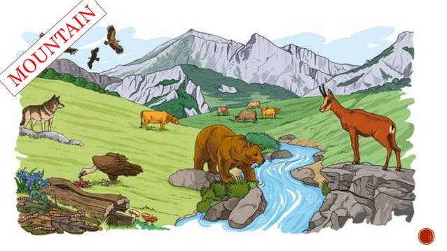 UNIT 5: ECOSYSTEMS | PPTX