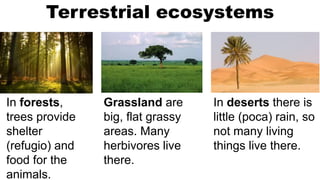Ecosystems | PDF