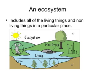 Ecosystems | PPT