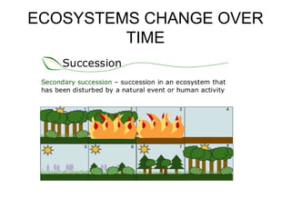 Ecosystems | PPT