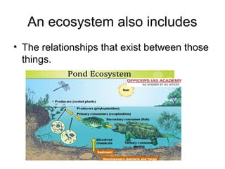 Ecosystems | PPT