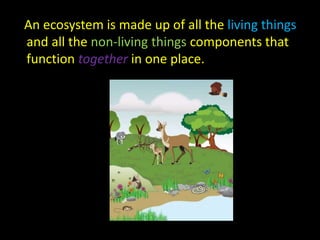 Ecosystems | PPTX