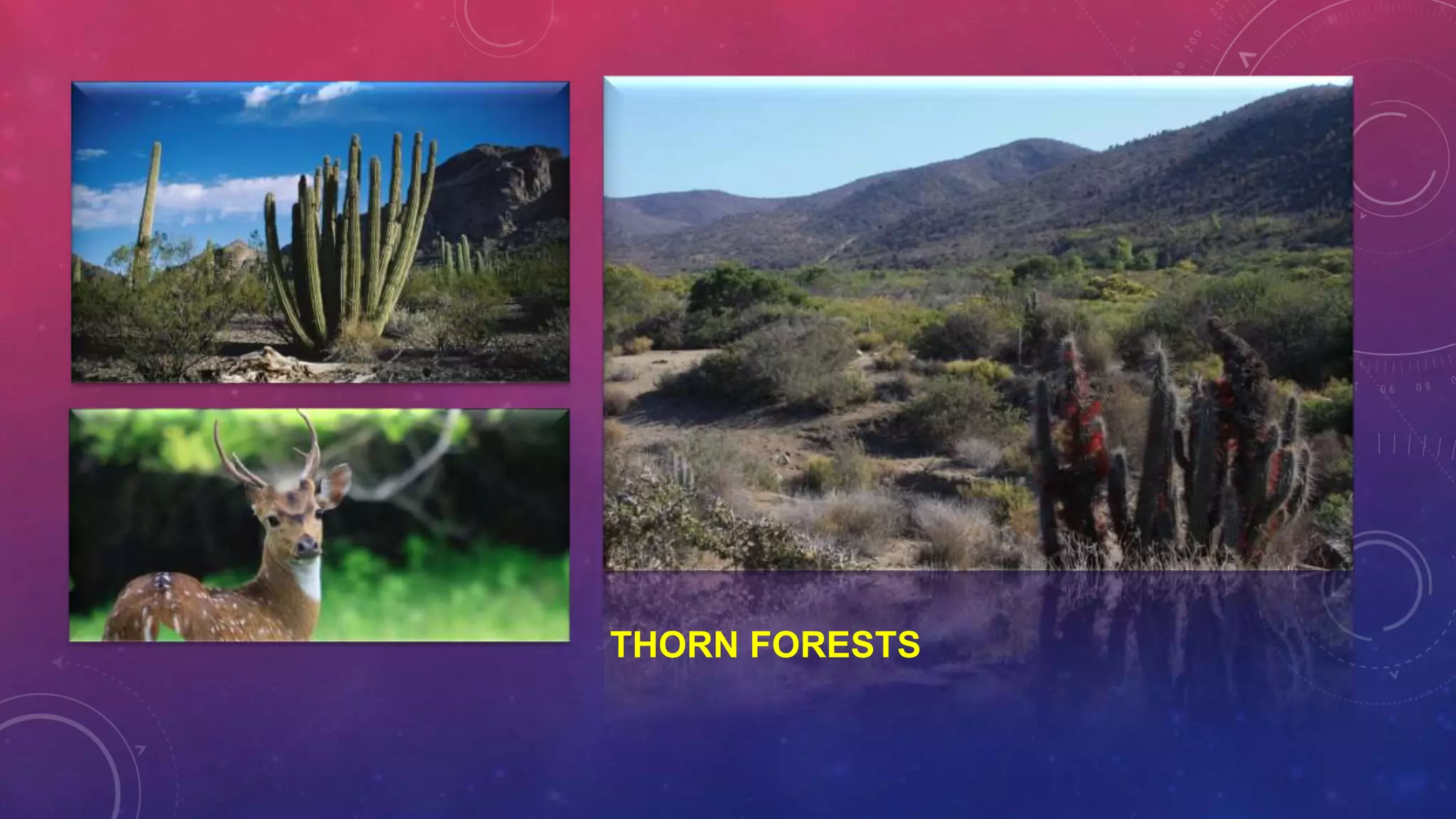 Ecosystem(environmental studies, forests, desert, grasslands, aquatic ...