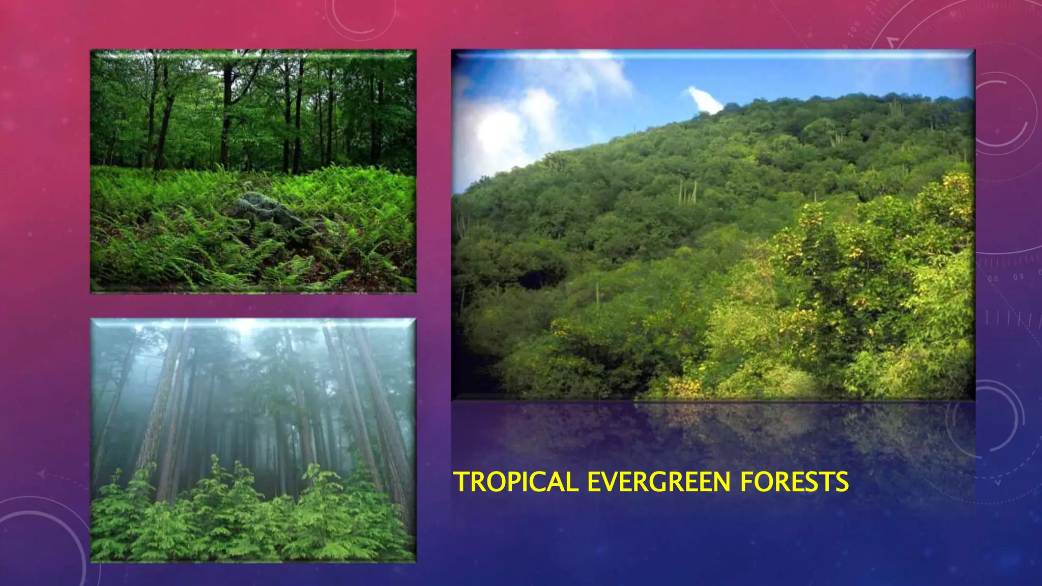 Ecosystem(environmental studies, forests, desert, grasslands, aquatic ...
