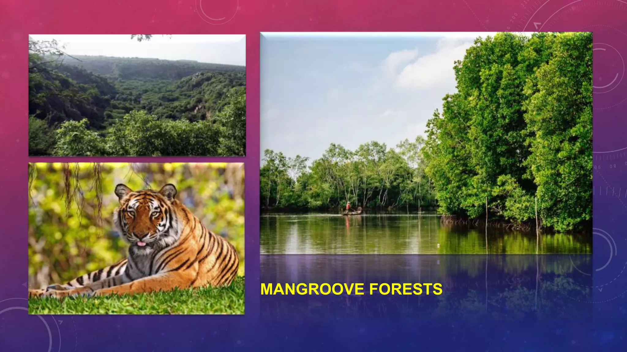 Ecosystem(environmental studies, forests, desert, grasslands, aquatic ...