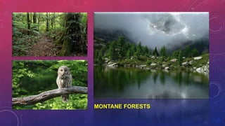Ecosystem(environmental studies, forests, desert, grasslands, aquatic ...