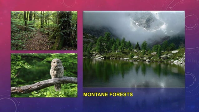 Ecosystem(environmental studies, forests, desert, grasslands, aquatic ...