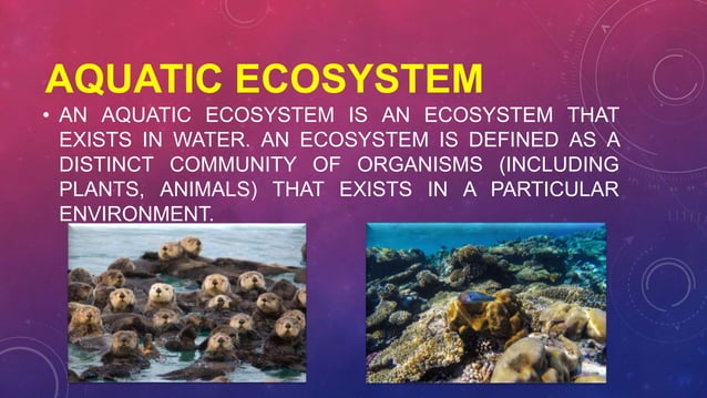 Ecosystem(environmental studies, forests, desert, grasslands, aquatic ...