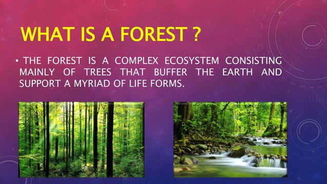 Ecosystem(environmental studies, forests, desert, grasslands, aquatic ...