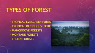 Ecosystem(environmental studies, forests, desert, grasslands, aquatic ...