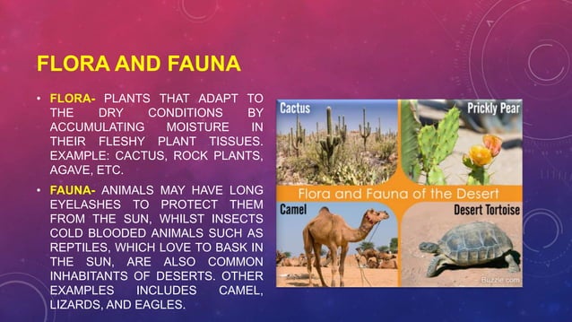 Ecosystem(environmental studies, forests, desert, grasslands, aquatic ...