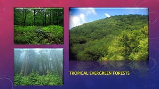 Ecosystem(environmental studies, forests, desert, grasslands, aquatic ...