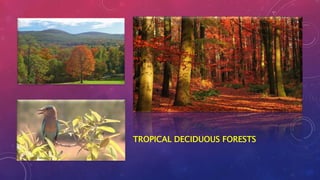 Ecosystem(environmental studies, forests, desert, grasslands, aquatic ...