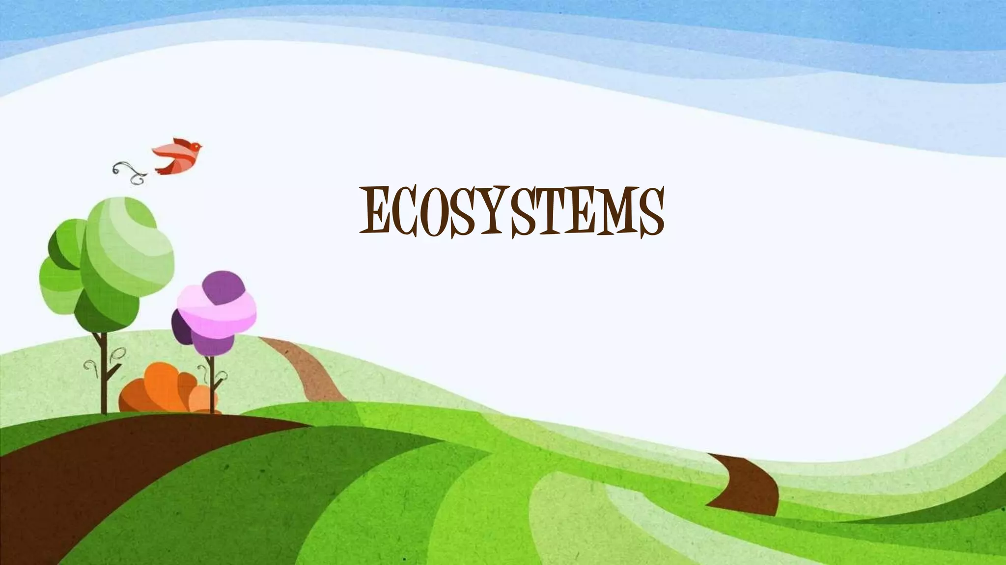 Ecosystems | PDF