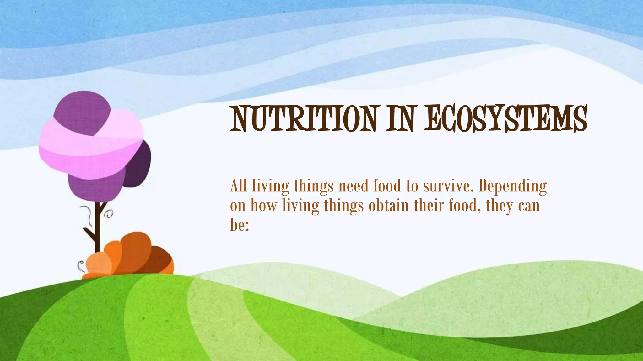 Ecosystems | PDF
