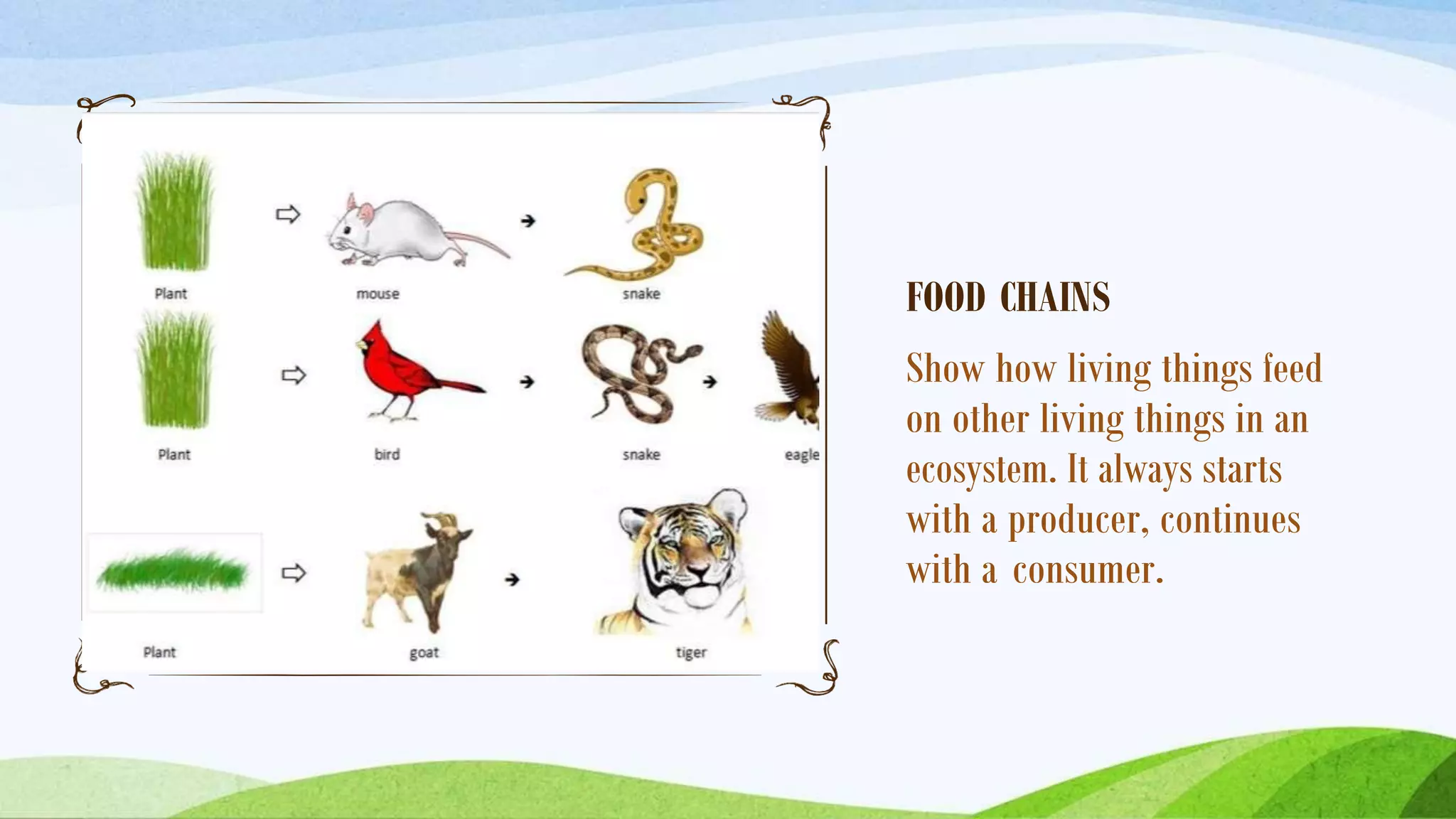 Ecosystems | PDF