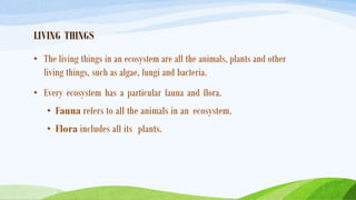 Ecosystems | PDF