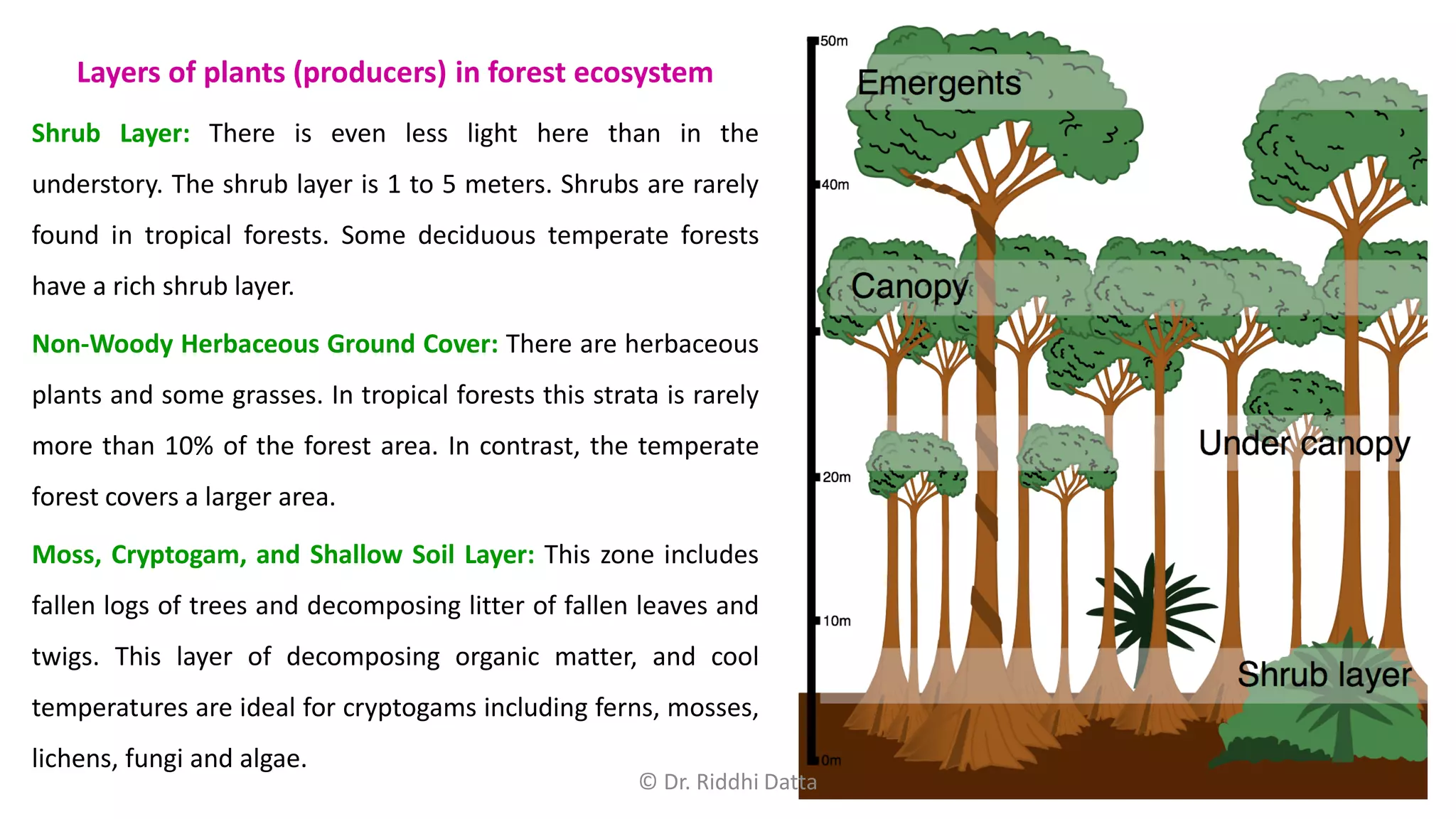 Types of Ecosystems | PDF | Geography | Science