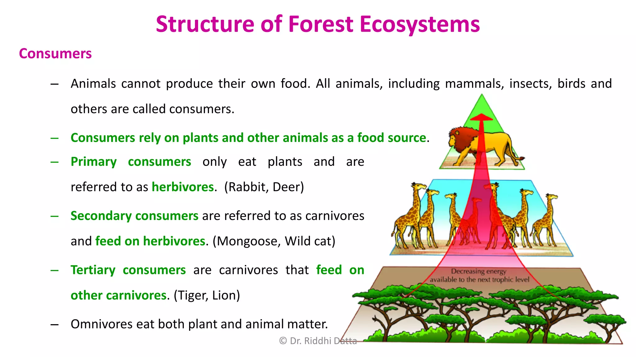 Types of Ecosystems | PDF | Geography | Science